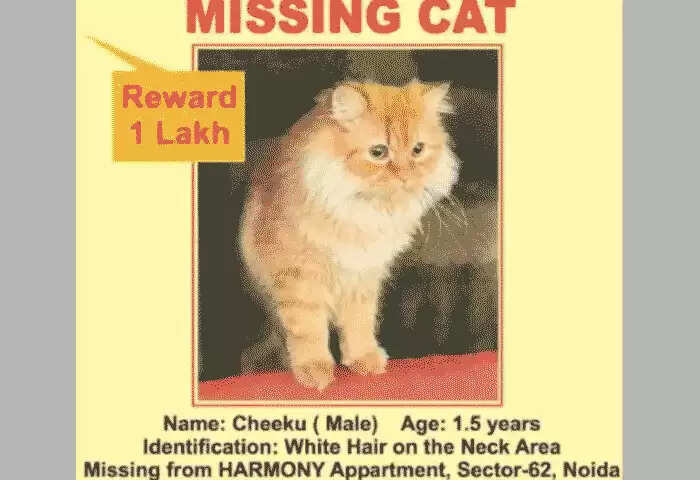 Reward for Cat| ഓമനിച്ചുവളര്‍ത്തിയ പൂച്ചയെ കണ്ടെത്താന്‍ സഹായിക്കുന്നവര് ...