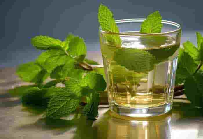 Mint Water പുതിനയിട്ട വെള്ളം കുടിക്കുന്നത് ശീലമാക്കൂ ആരോ ഗ്യ ഗുണങ്ങളെ കുറിച്ചറിയാം Kvartha 