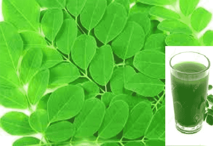 Moringa Juice മുരിങ്ങ ഇല ജ്യൂസ് കുടിക്കുന്നത് ശീലമാക്കൂ ലഭിക്കുന്നത് ഒരുപാട് പോഷക ഗുണങ്ങള്